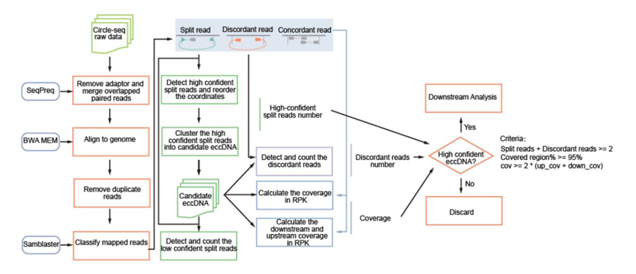 图博基因eccDNA测序服务